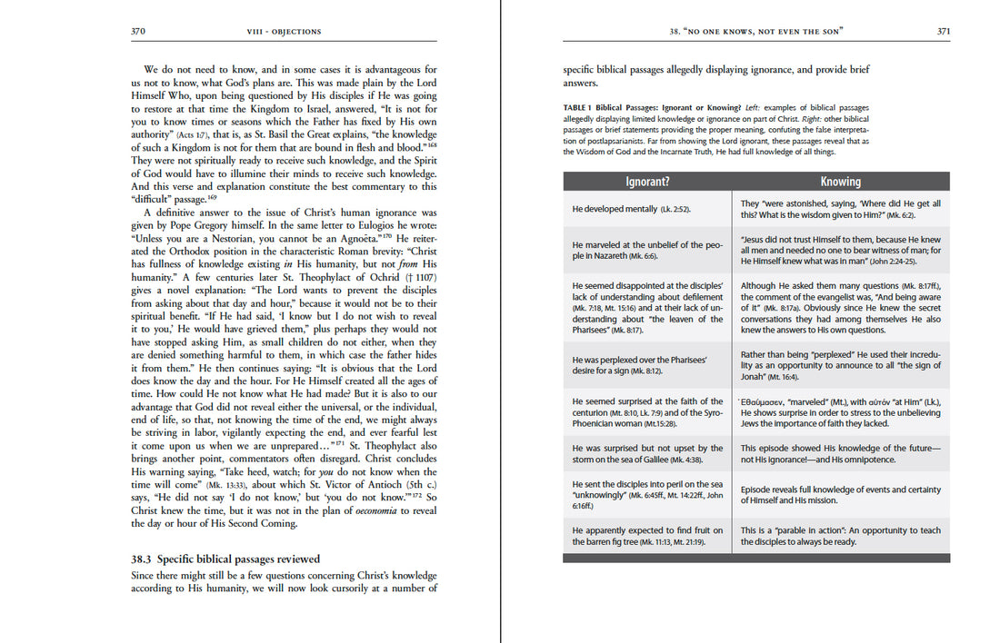 Jesus: Fallen? The Human Nature of Christ Examined from an Eastern Ort ...